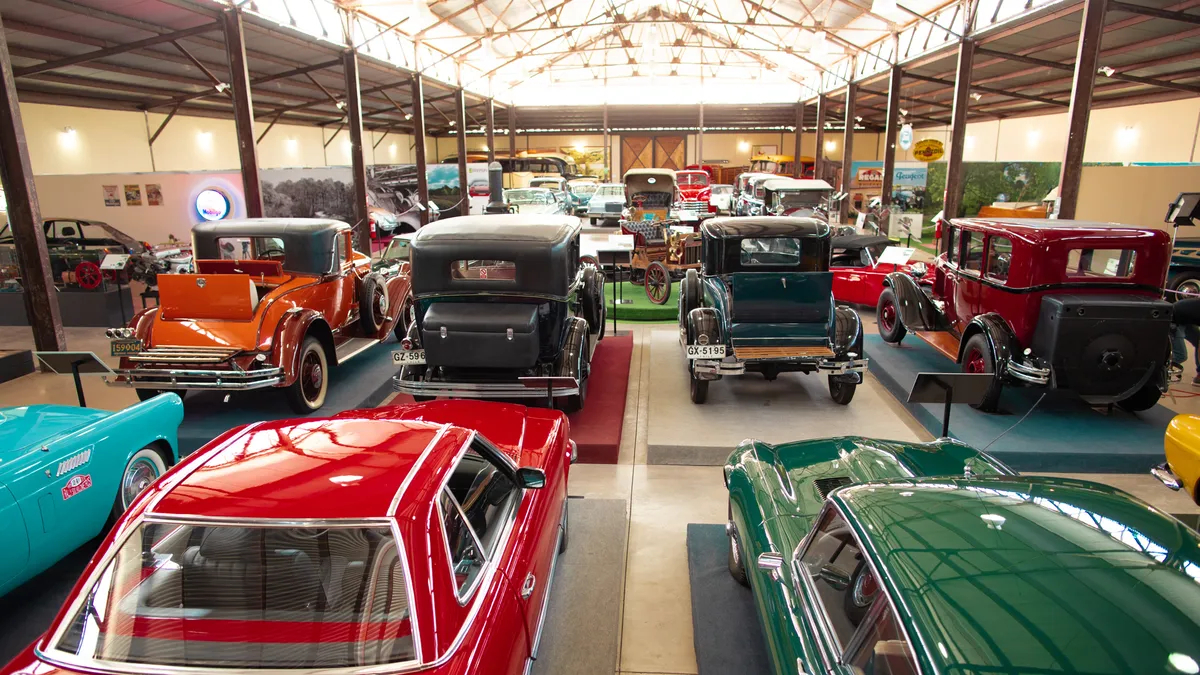 Salidas Pedagógicas - Inicio - Disfruta la diversión del turismo